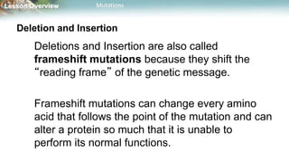 mutation.ppt