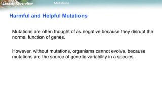 mutation.ppt