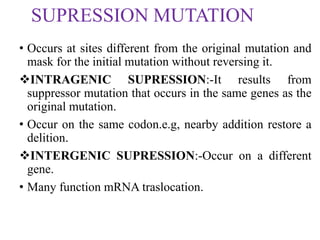 MUTATION.pptx