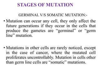 MUTATION.pptx