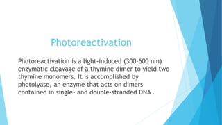Mutation and its major different types.pptx