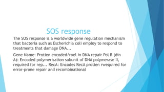 Mutation and its major different types.pptx