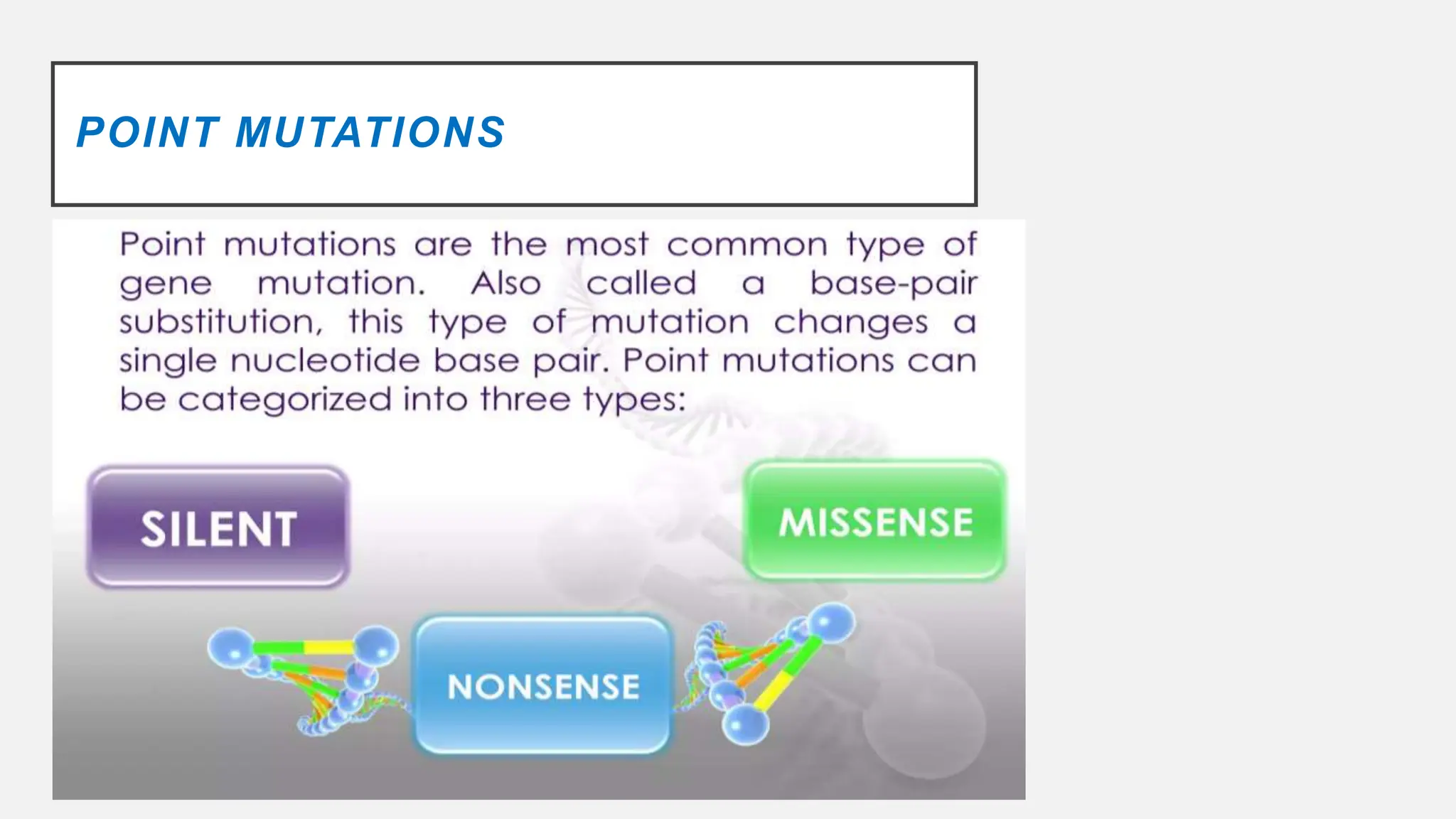 Mutation , its types andprinciples relating to the effects of gene ...