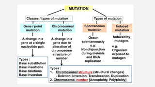 Mutation , its types andprinciples relating to the effects of gene ...