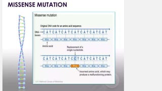 Mutation , its types andprinciples relating to the effects of gene ...