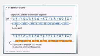 Mutation , its types andprinciples relating to the effects of gene ...
