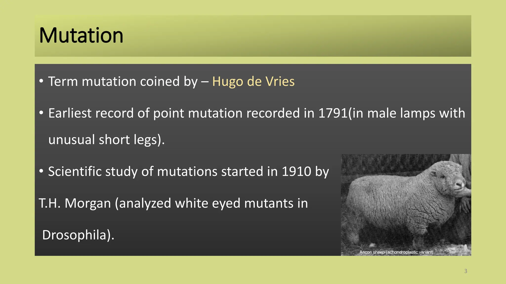 Mutation : types and features........... | PPTX