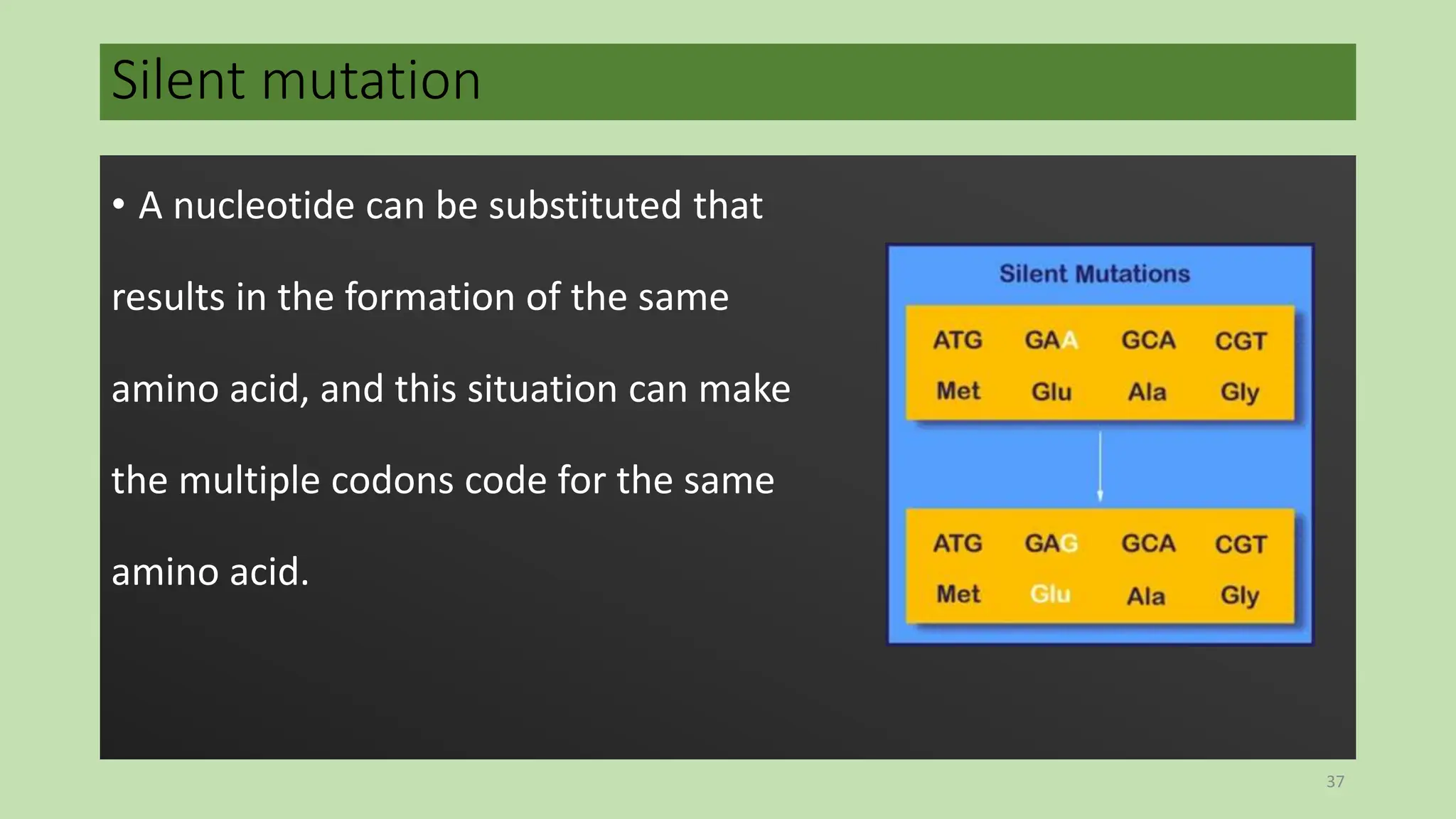 Mutation : types and features........... | PPTX