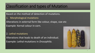 Mutation : types and features........... | PPTX