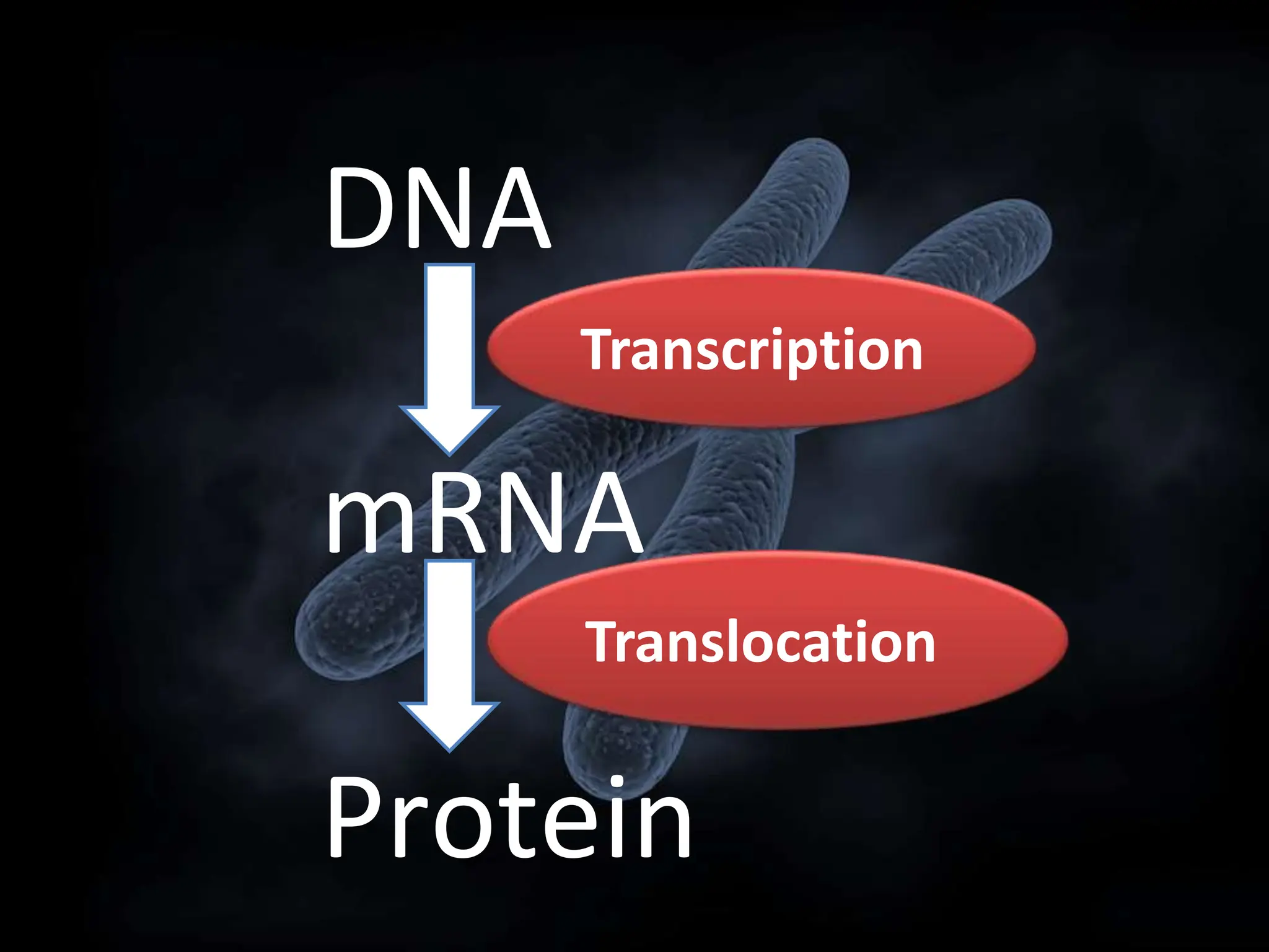 mutation pratiksha diwas parkins disease | PPTX