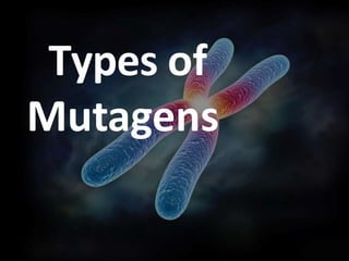 mutation pratiksha diwas parkins disease | PPTX | Genetics | Science