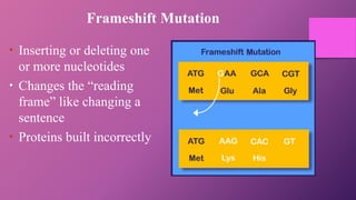 Mutation (General microbiology and Life sciencs) | PPTX | Genetics ...