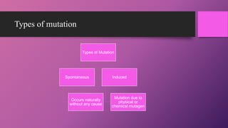 Mutation (General microbiology and Life sciencs) | PPTX | Genetics ...