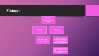 Mutation (General microbiology and Life sciencs) | PPTX | Genetics ...