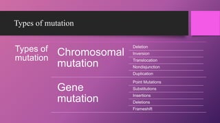 Mutation (General microbiology and Life sciencs) | PPTX | Genetics ...