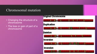 Mutation (General microbiology and Life sciencs) | PPTX | Genetics | Science
