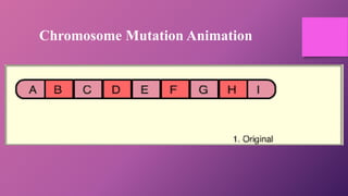 Mutation (General microbiology and Life sciencs) | PPTX | Genetics ...