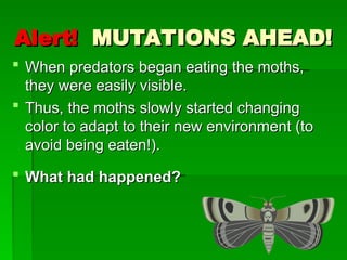 MUTATION- DNA's Error how it affects Organisms.ppt