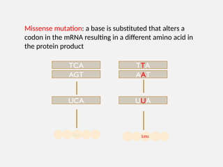 mutation-causes,types ,mechanism and uses | PPTX