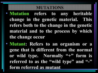 Genetics: DNA Mutation types and mechanism.ppt
