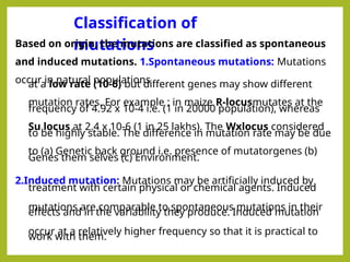 Mutation-Breeding (1).pdf.pptxcoucy9f9yf69f9 | PPTX