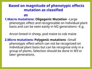 Mutation-Breeding (1).pdf.pptxcoucy9f9yf69f9 | PPT