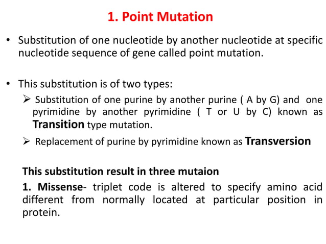 Mutation | PDF
