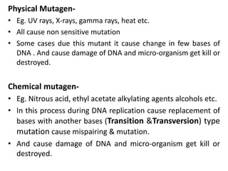 Mutation | PDF