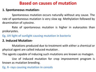 Mutation | PDF