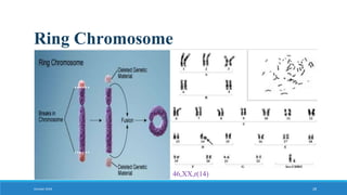 Chromosomal Mutations | PPTX