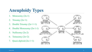Chromosomal Mutations | PPTX