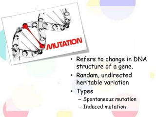 Mutation | PPTX | Chemistry | Science