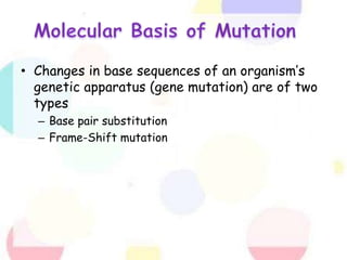 Mutation | PPTX | Chemistry | Science
