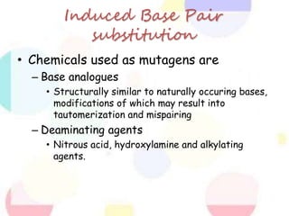 Mutation | PPTX | Chemistry | Science