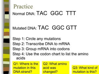 point mutations silent mutations | PPTX | Genetics | Science