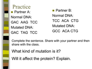 point mutations silent mutations | PPTX