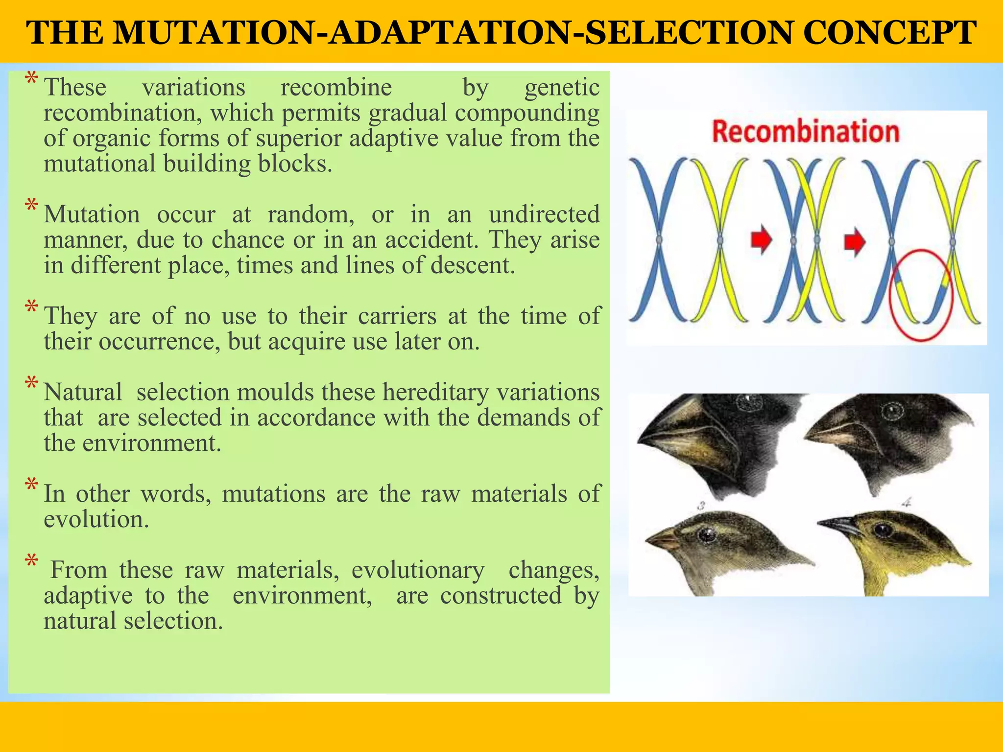 Mutation, adaptation and selection concept | PPTX
