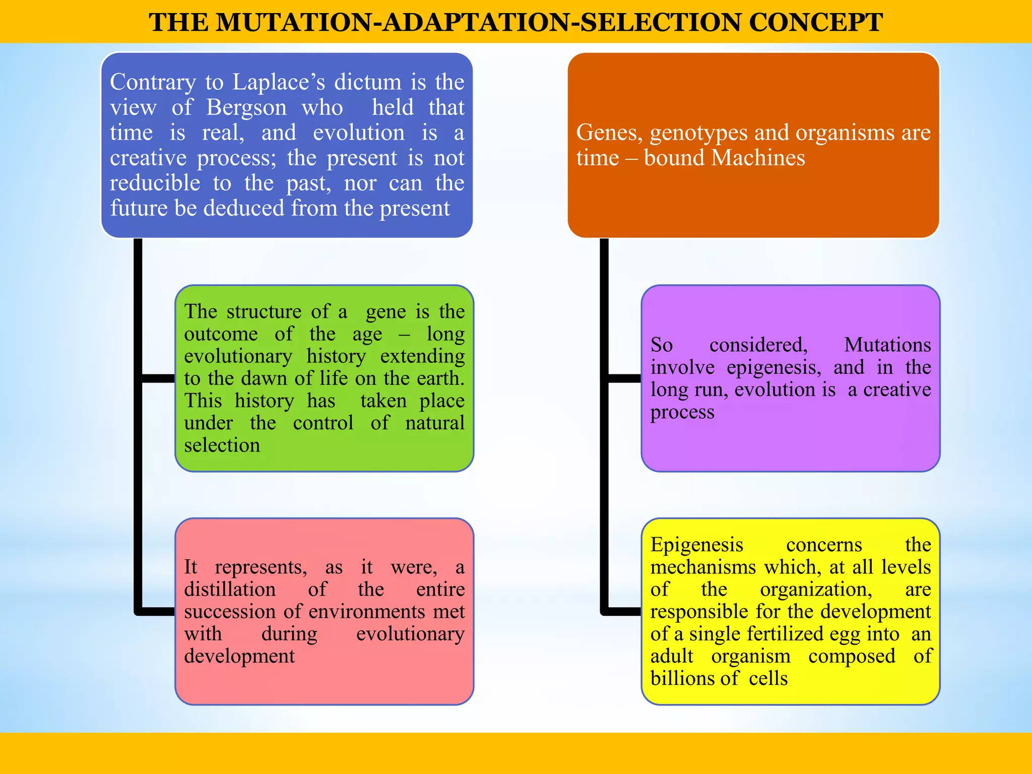 Mutation, adaptation and selection concept | PPTX