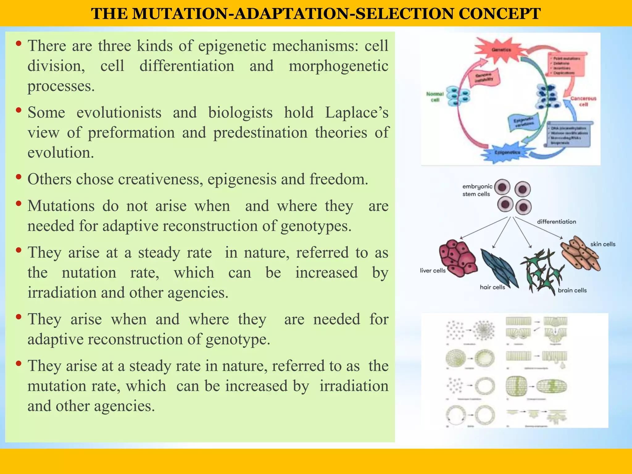 Mutation, adaptation and selection concept | PPTX