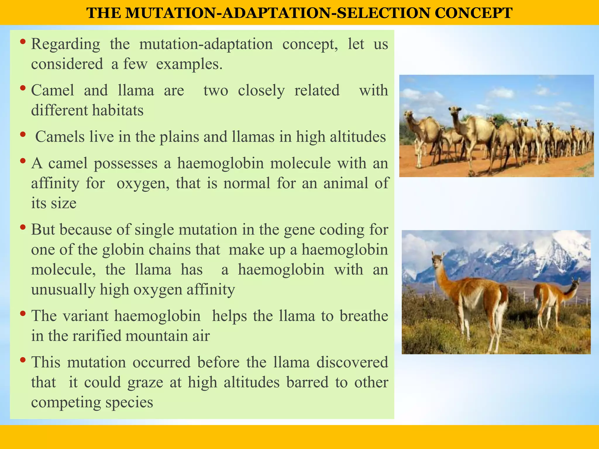 Mutation, adaptation and selection concept | PPTX