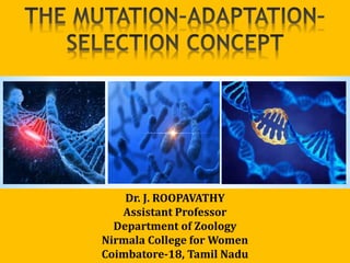 Mutation, adaptation and selection concept | PPT