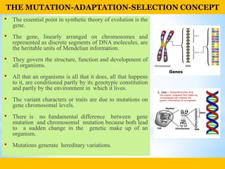 Mutation, adaptation and selection concept | PPT