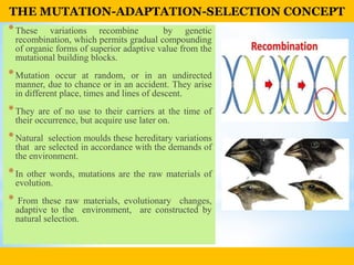Mutation, adaptation and selection concept | PPT