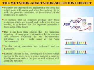 Mutation, adaptation and selection concept | PPT