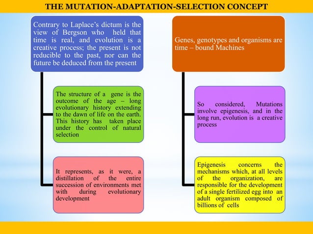 Mutation, adaptation and selection concept | PPT