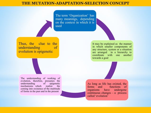Mutation, adaptation and selection concept | PPT