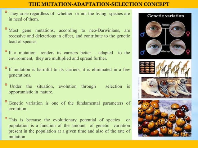 Mutation, adaptation and selection concept | PPT