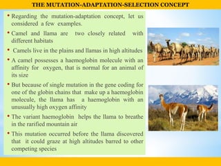 Mutation, adaptation and selection concept | PPT