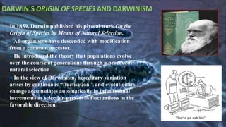 Mutational theory presentation | PPTX