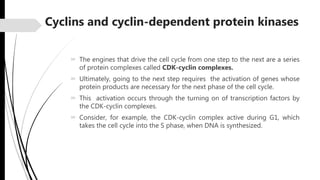 Mutation and cancer | PPTX